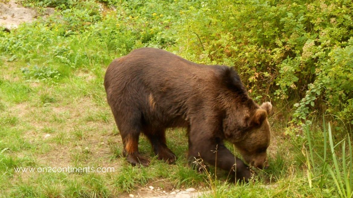 16 THINGS YOU’LL LOVE ABOUT THE HIGH TATRAS