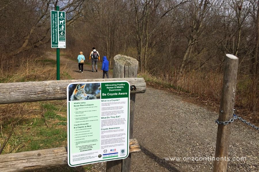 28 BEST HIKING AND RUNNING TRAILS IN LONDON ONTARIO