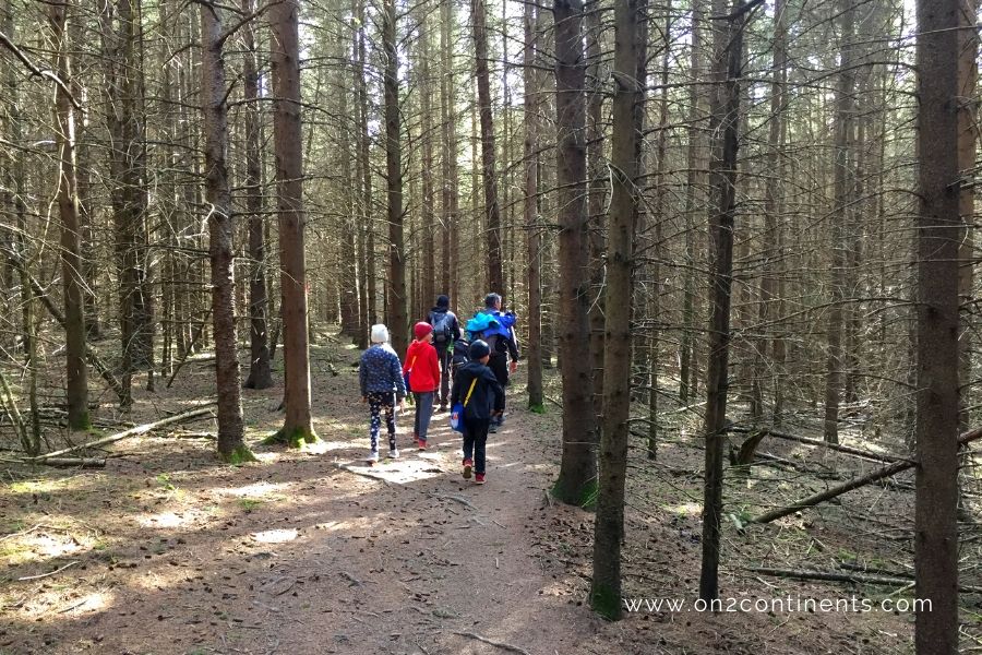28 BEST HIKING AND RUNNING TRAILS IN LONDON ONTARIO