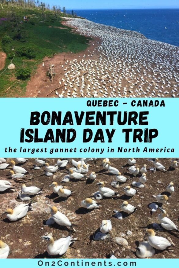 GASPÉ PENINSULA: DAY TRIP TO BONAVENTURE ISLAND - ON 2 CONTINENTS