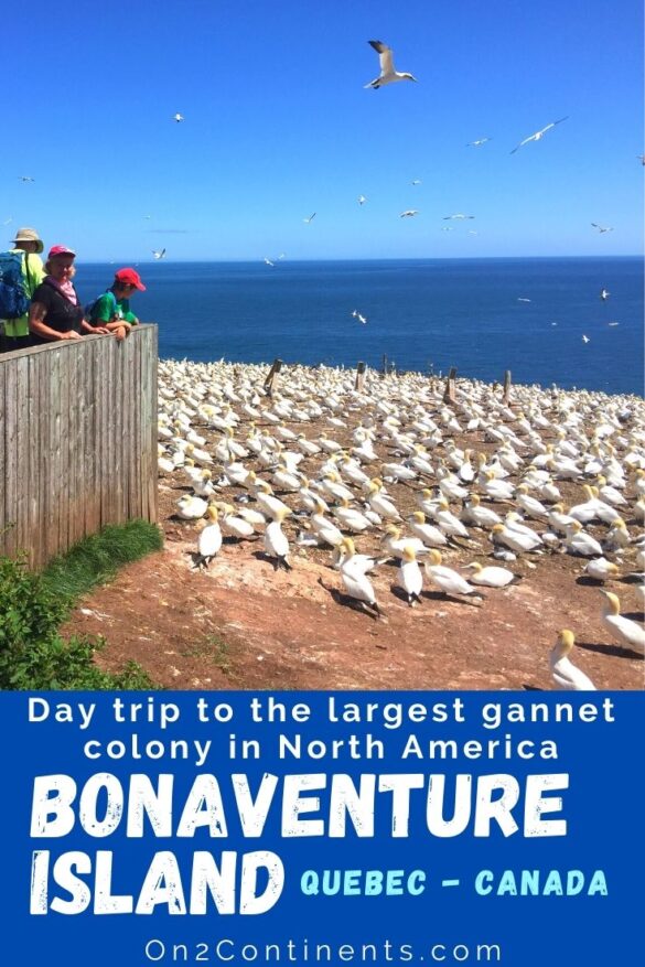 GASPÉ PENINSULA: DAY TRIP TO BONAVENTURE ISLAND - ON 2 CONTINENTS