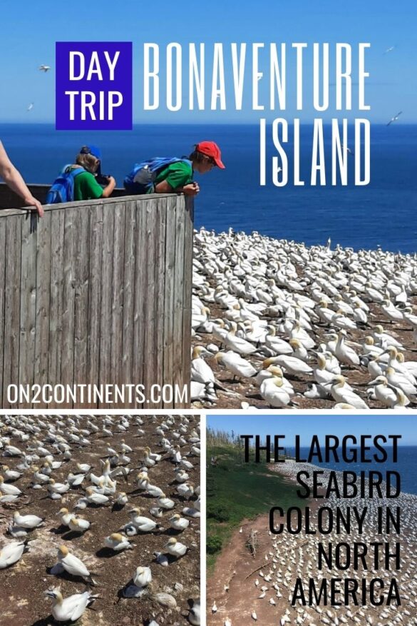 GASPÉ PENINSULA: DAY TRIP TO BONAVENTURE ISLAND - ON 2 CONTINENTS
