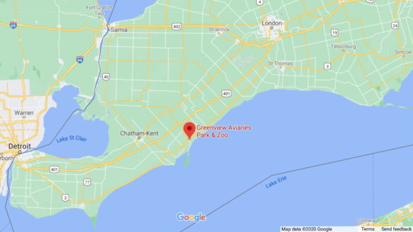 DAY TRIP TO GREENVIEW AVIARIES PARK & ZOO