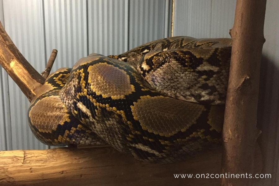 DAY TRIP TO GREENVIEW AVIARIES PARK & ZOO