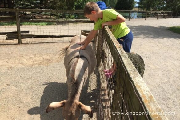 DAY TRIP TO GREENVIEW AVIARIES PARK & ZOO