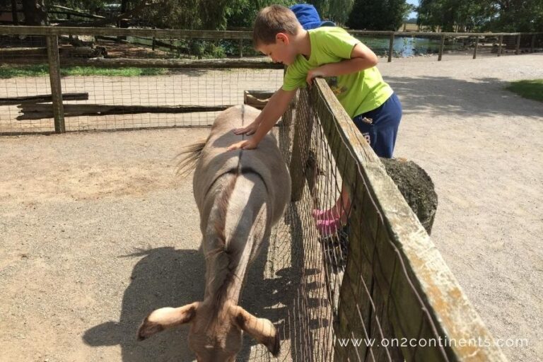 DAY TRIP TO GREENVIEW AVIARIES PARK & ZOO