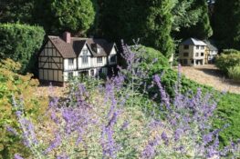 DAY TRIP TO GREENVIEW AVIARIES PARK & ZOO