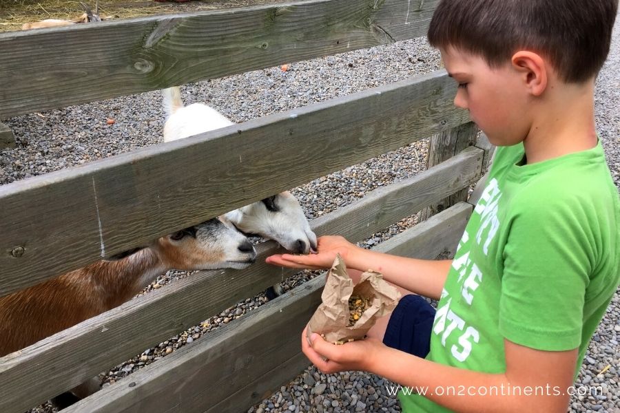 DAY TRIP TO GREENVIEW AVIARIES PARK & ZOO