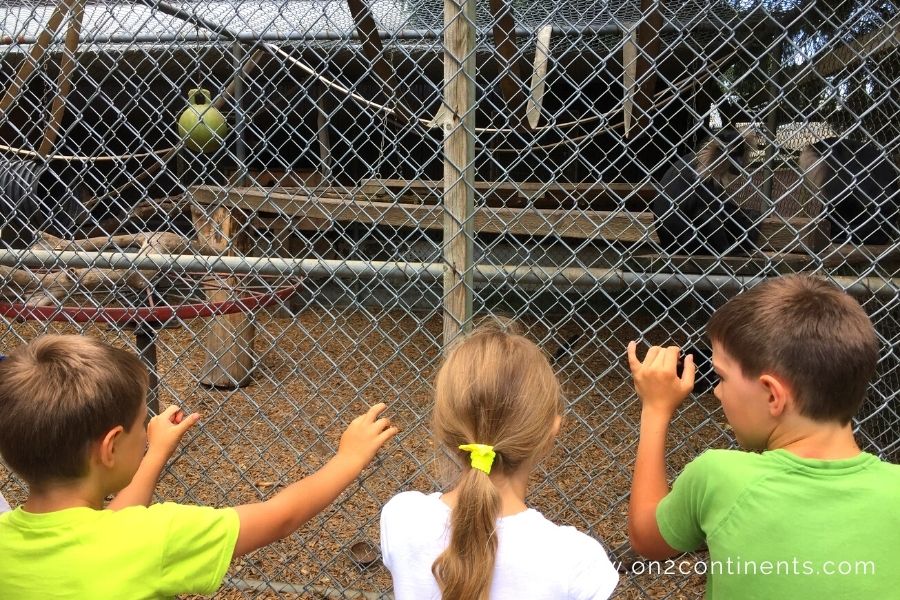 ONTARIO: DAY TRIP TO GREENVIEW AVIARIES PARK & ZOO - ON 2 CONTINENTS